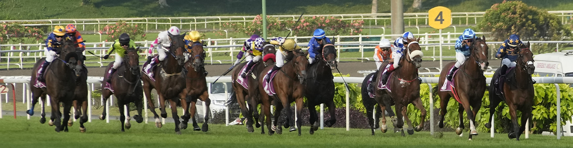 Racing, Sports & Recreation | Singapore Turf Club