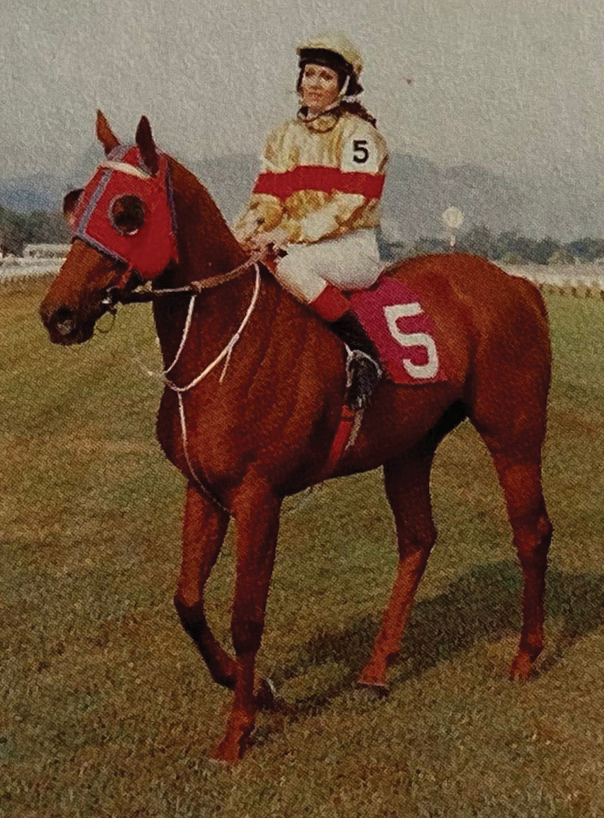 Unique and Unusual History