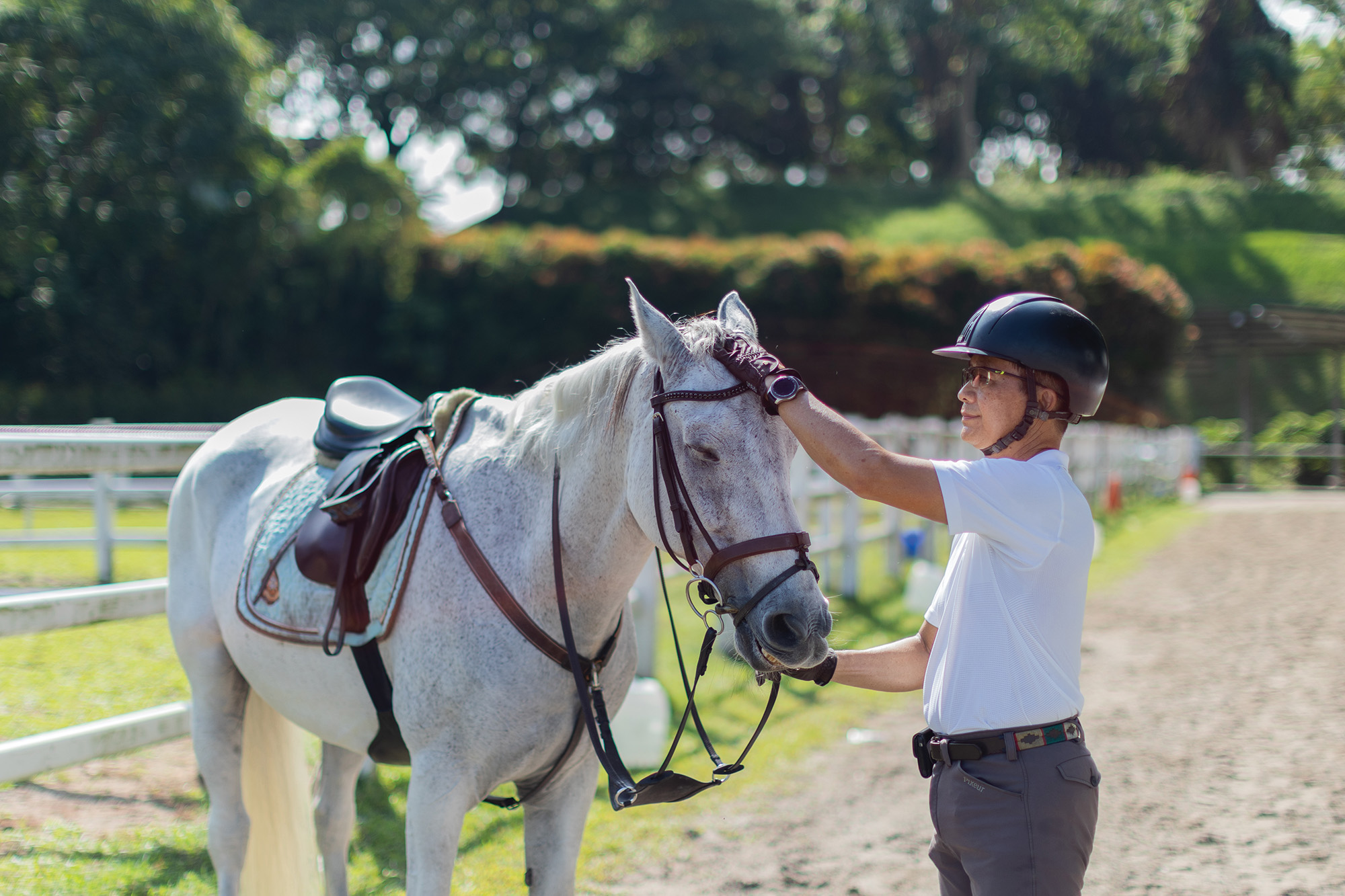 Grooming Next Gen Equestrians